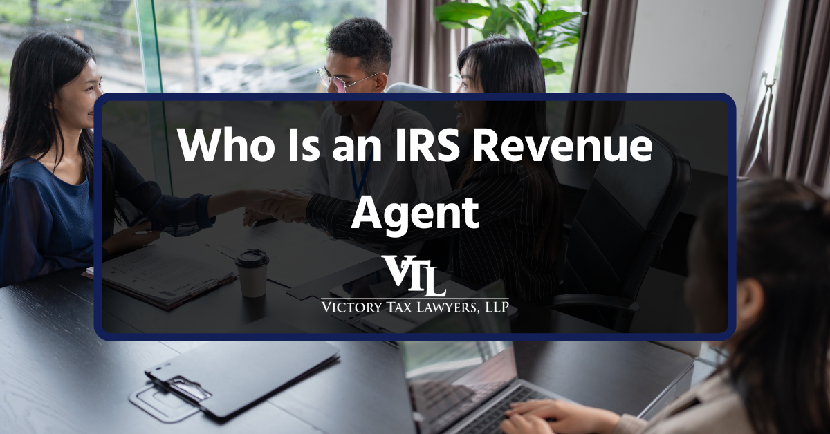 IRS Revenue Agent: Role, Duties & Requirements